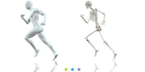How Exercise Can Benefit your Skeletal System - Perfect Balance Clinic